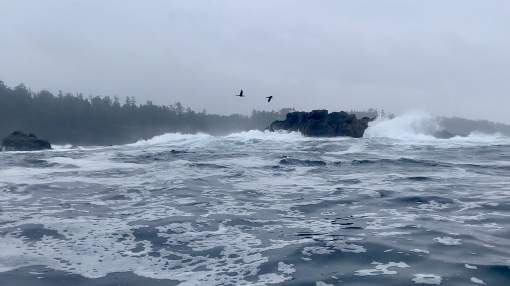 CalWave selected as technology provider for wave energy project in ...