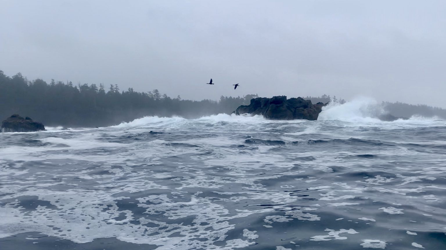 CalWave selected as technology provider for wave energy project in ...