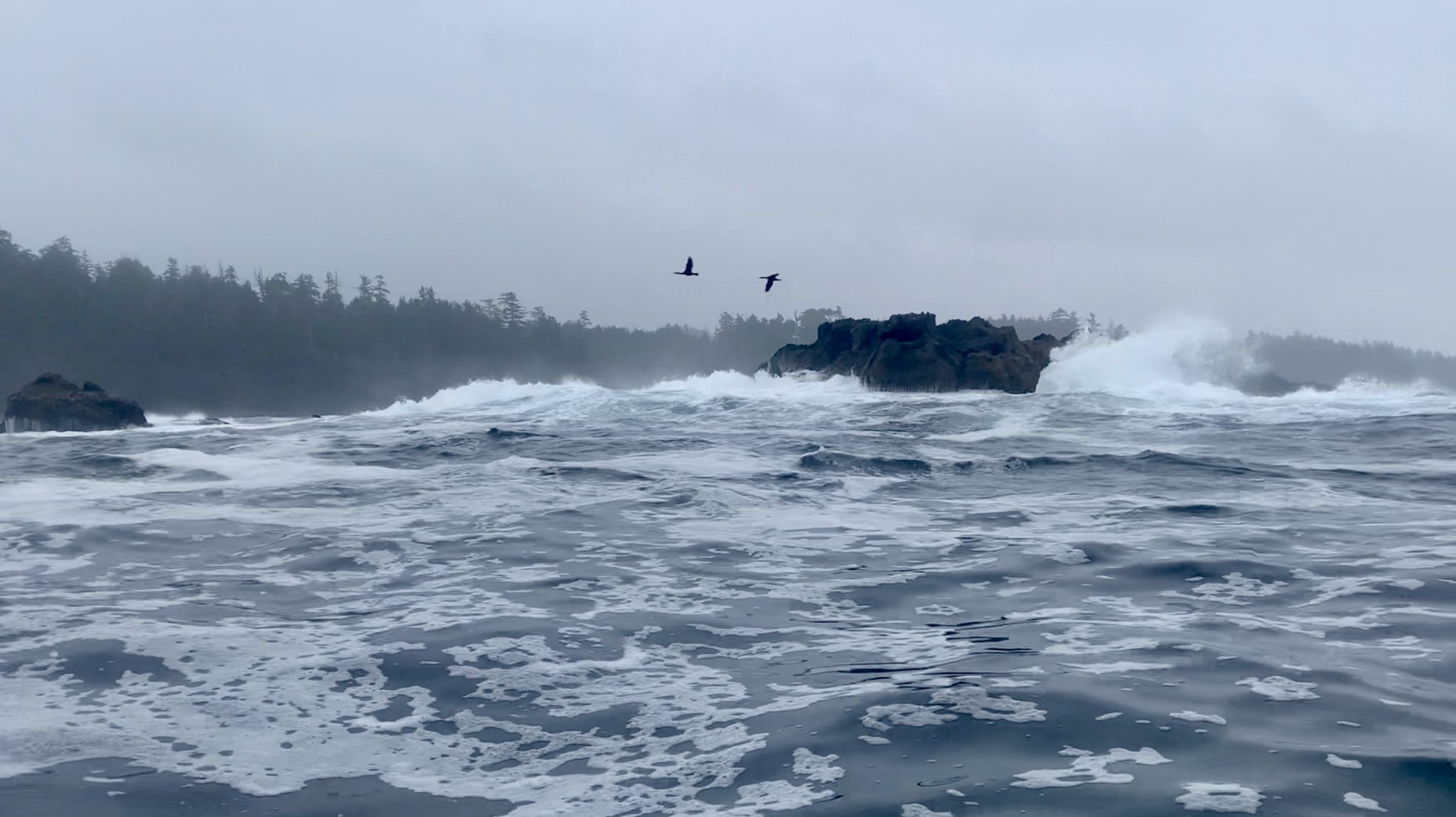 CalWave selected as technology provider for wave energy project in ...