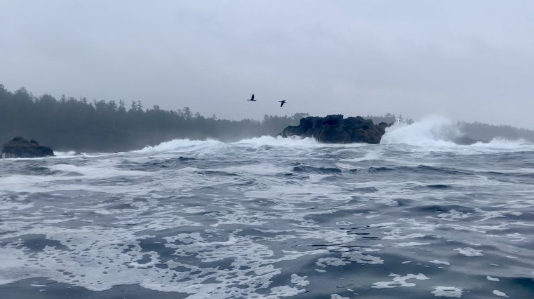 CalWave selected as technology provider for wave energy project in ...