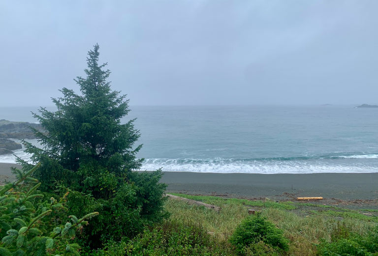 CalWave selected as technology provider for wave energy project in ...